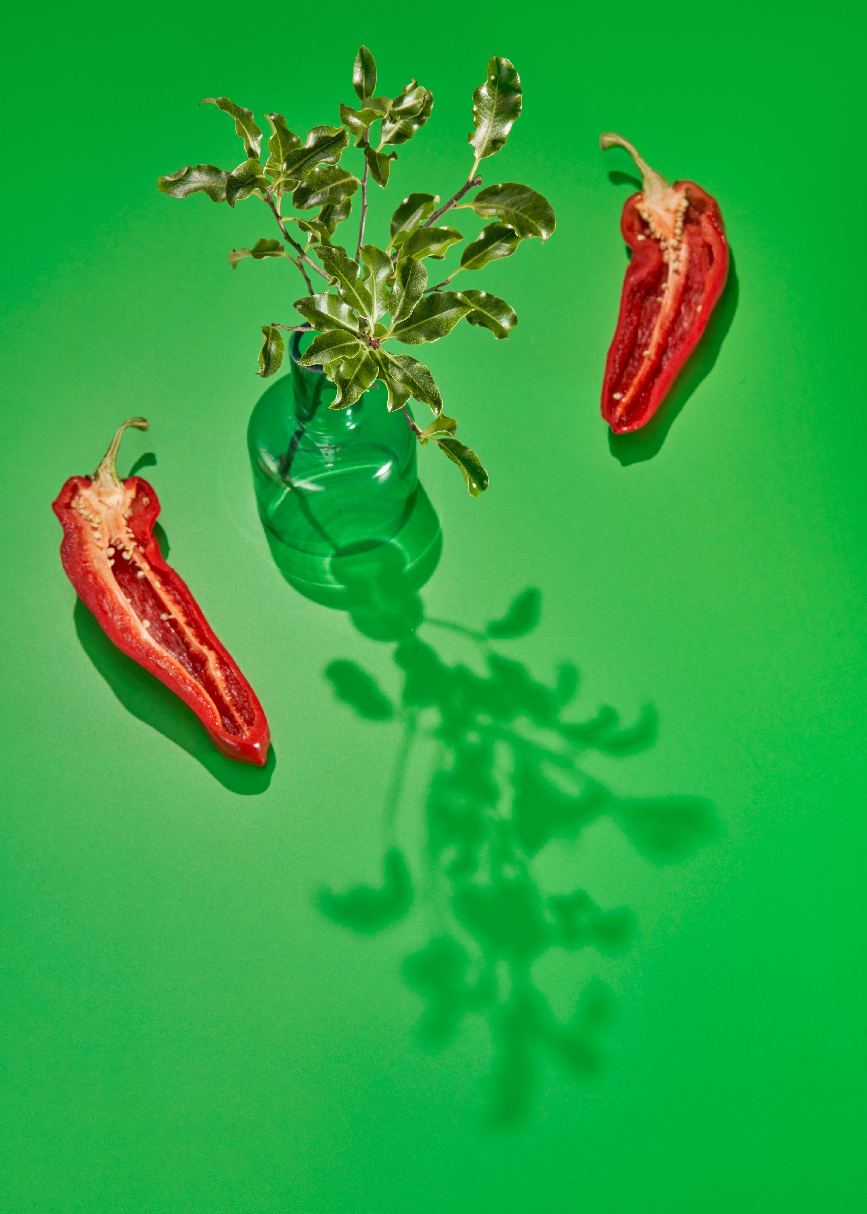 Club Backdrops | Pro Photography Backdrops | UK Made