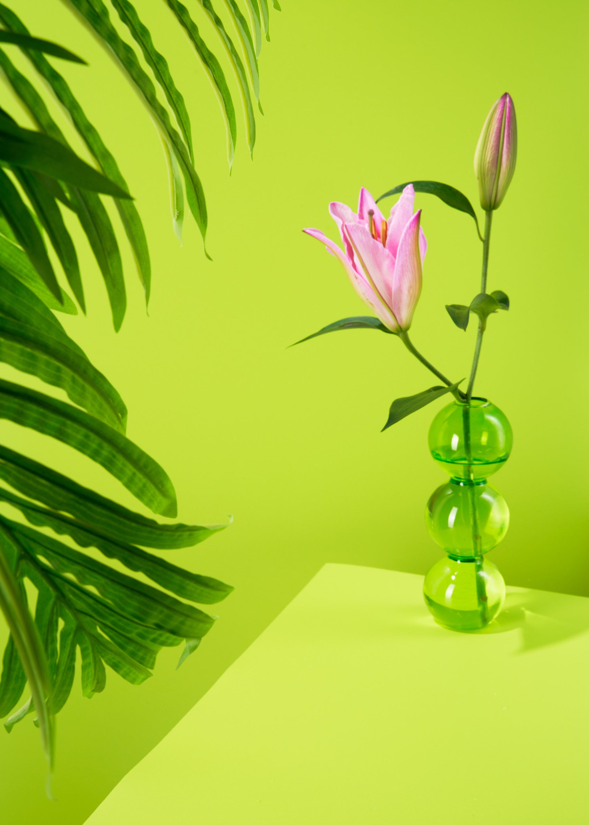 Flat Neon Green Vinyl Backdrop for Product & Food Photography – Club ...