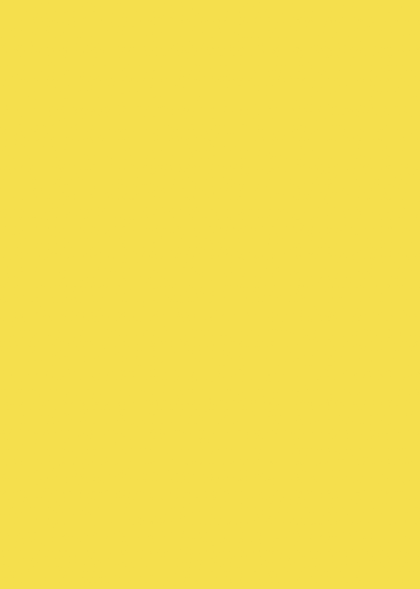 Flat Yellow Vinyl Backdrop for Product & Food Photography – Club Backdrops