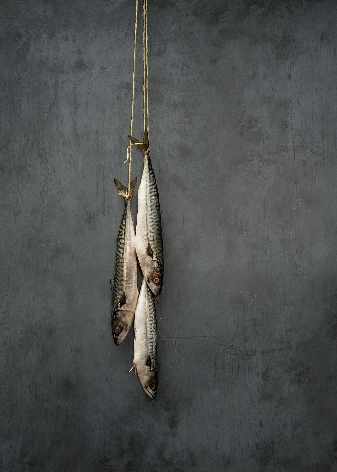 Graphite Vinyl Backdrop for Product & Food Photography – Club Backdrops